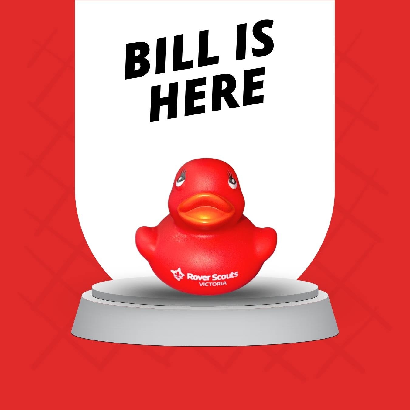 Red Rover Rubber Duck | Rover Scouts Victoria Online Store